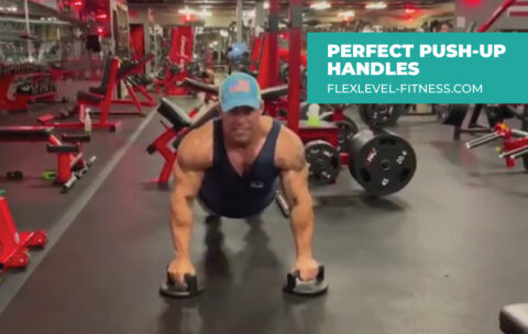 How to perform the perfect push-up • Flex Level Fitness